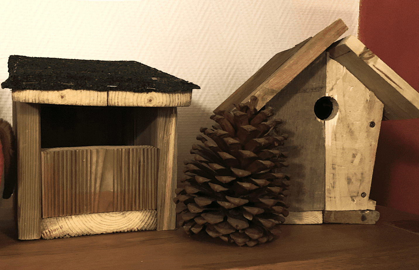 Comment construire et installer des nichoirs au jardin