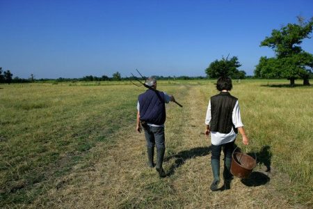 Le Woofing ou Wwoofing, le voyage sous une autre perspective